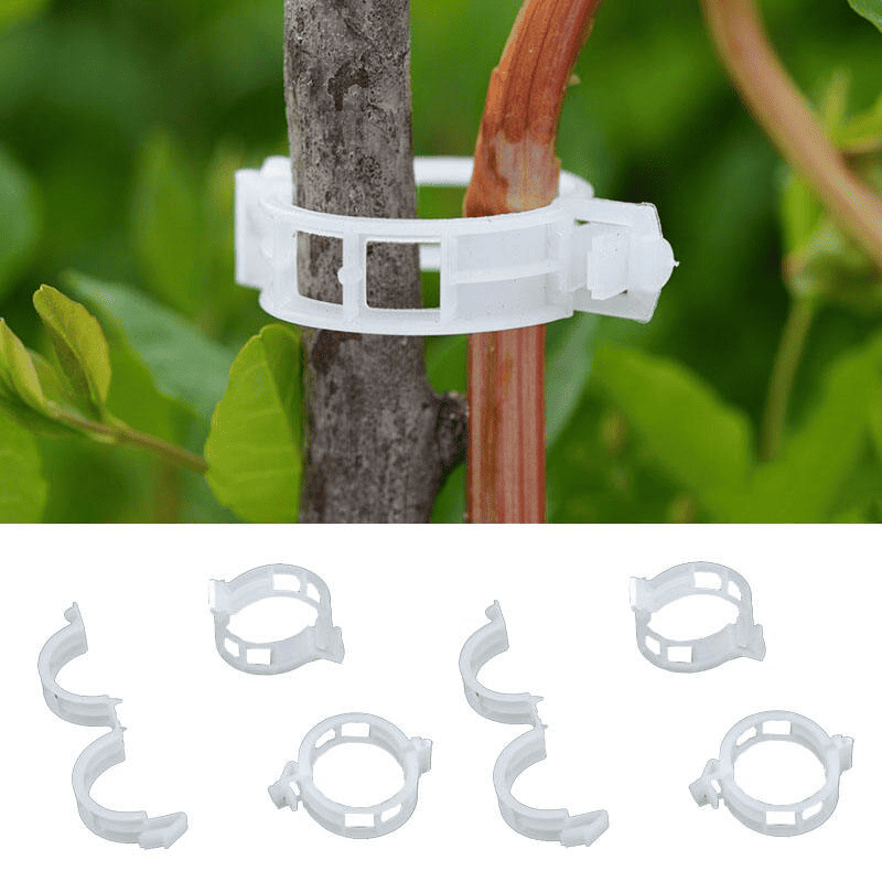 50pcs/100pcs Durable 30mm Plastic Plant Support Clips | DreamDealsDaily.com
