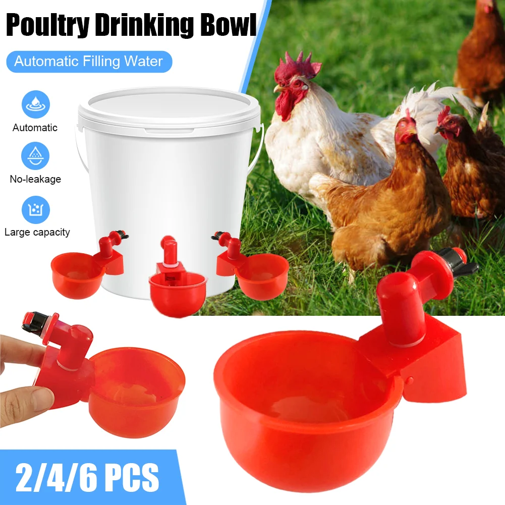 Chicken Water Dispenser | DreamDealsDaily.com