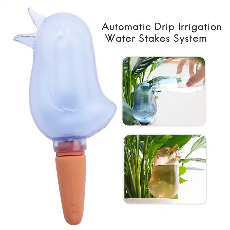 Self-Watering Birds | DreamDealsDaily.com